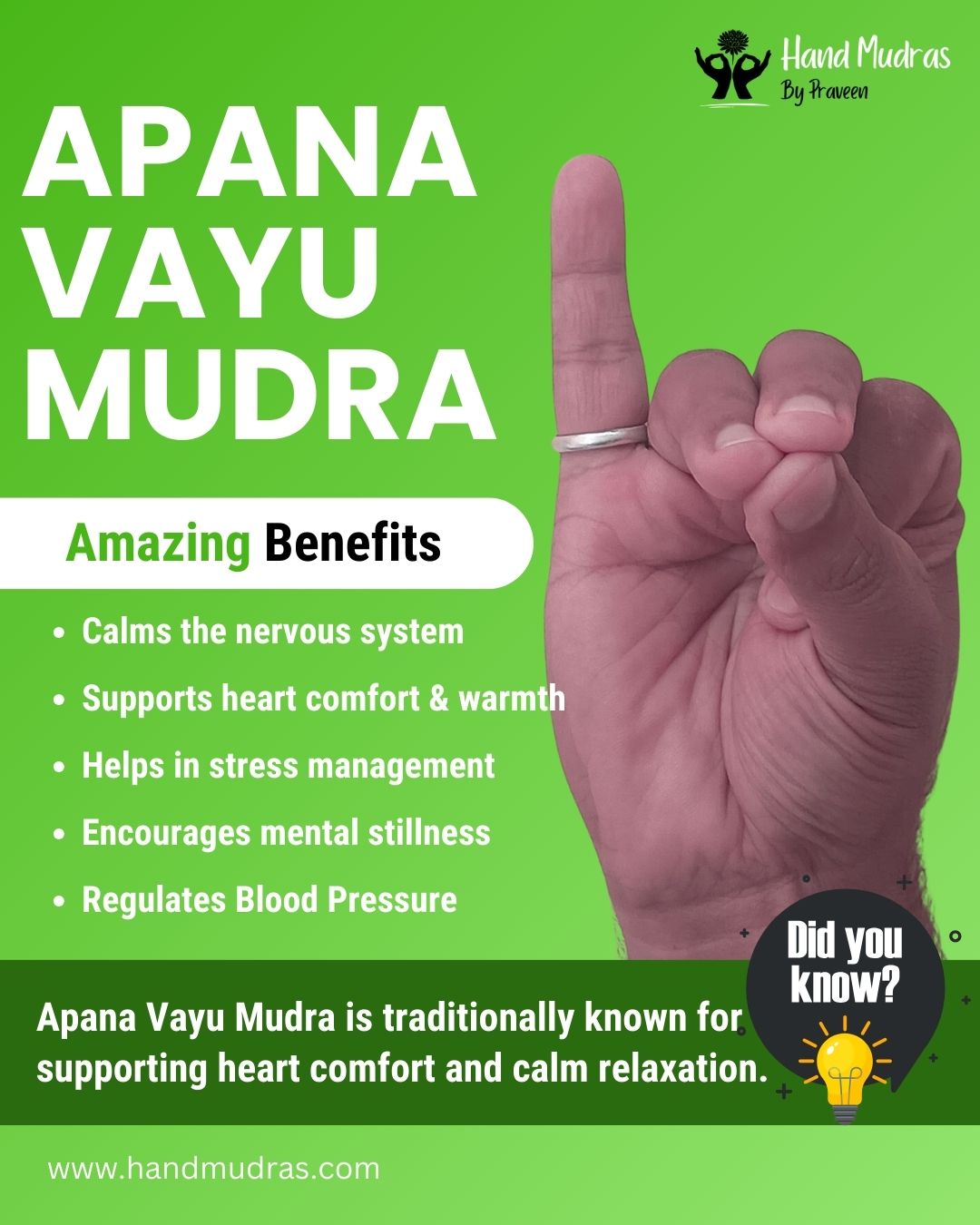 Apana Vayu Mudra – How to Practice, Benefits, Steps & Daily Guide
